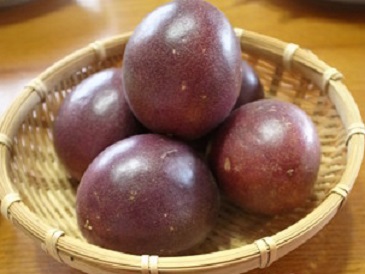 最新情報 | 株式会社オークウェーブ | ワイヤーハーネス加工 フラットケーブル加工